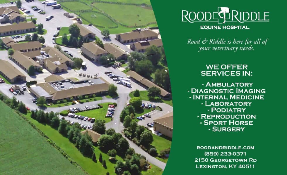 Rood and Riddle Equine Hospitals - Silver Oak Jumper Tournament